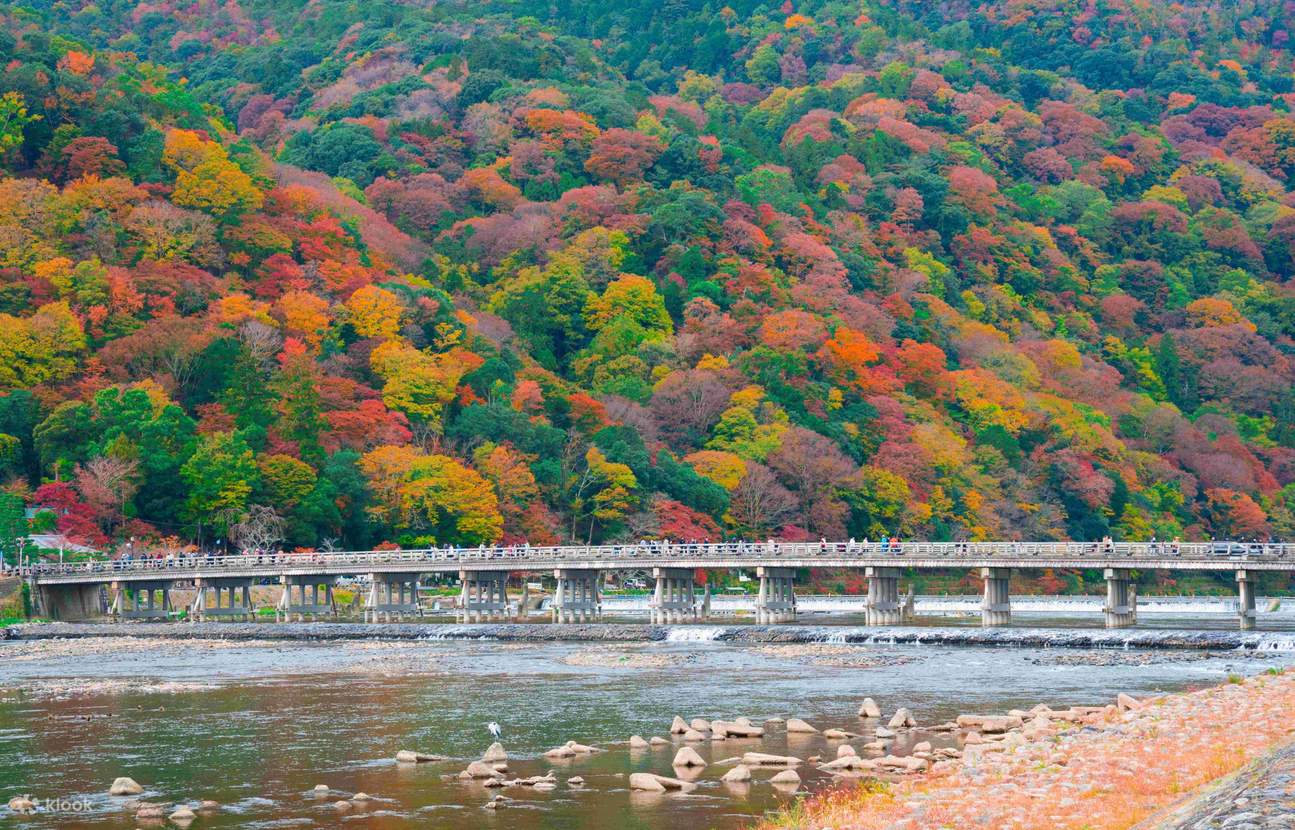 [Kyoto- und Nara-Tagestour] Arashiyama-Zug, Fushimi-Inari-Schrein ...